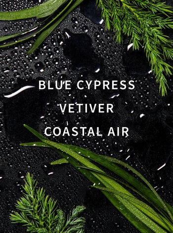 Ocean Laundry Detergent - White Barn | Bath & Body Works