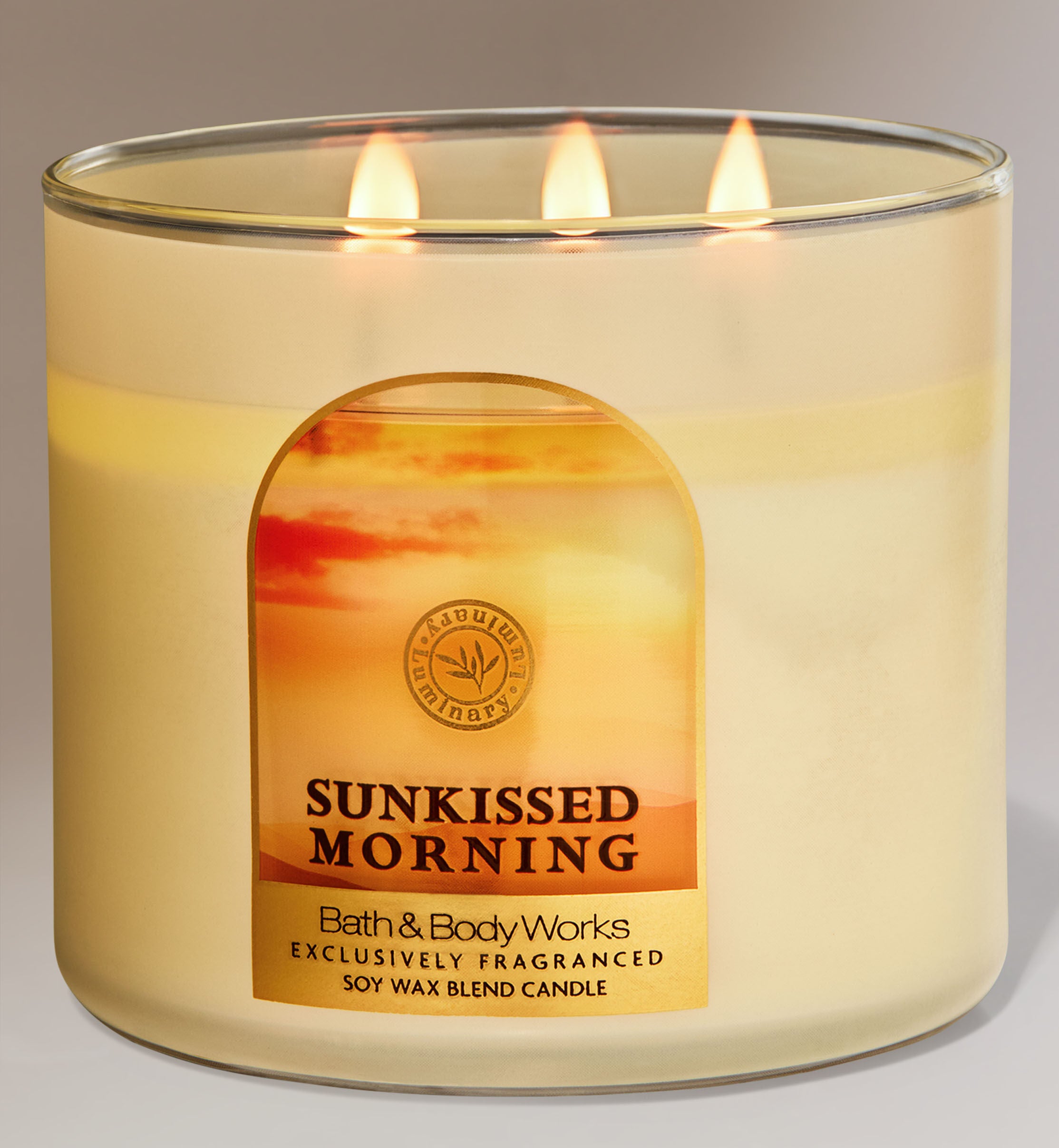 Scented Candles: 3-Wick and Single Wick | Bath & Body Works