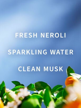 Woodsy Scents | Bath & Body Works