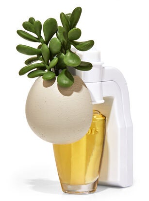 Wallflowers Fragrance Air Freshener Plug In – Bath & Body Works