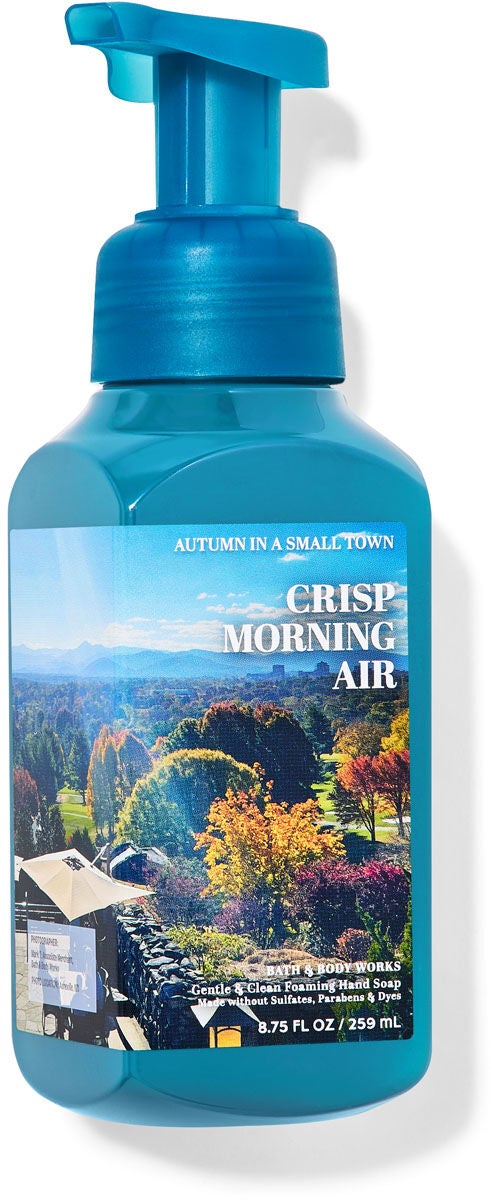 All Hand Soaps - Bath & Body Works