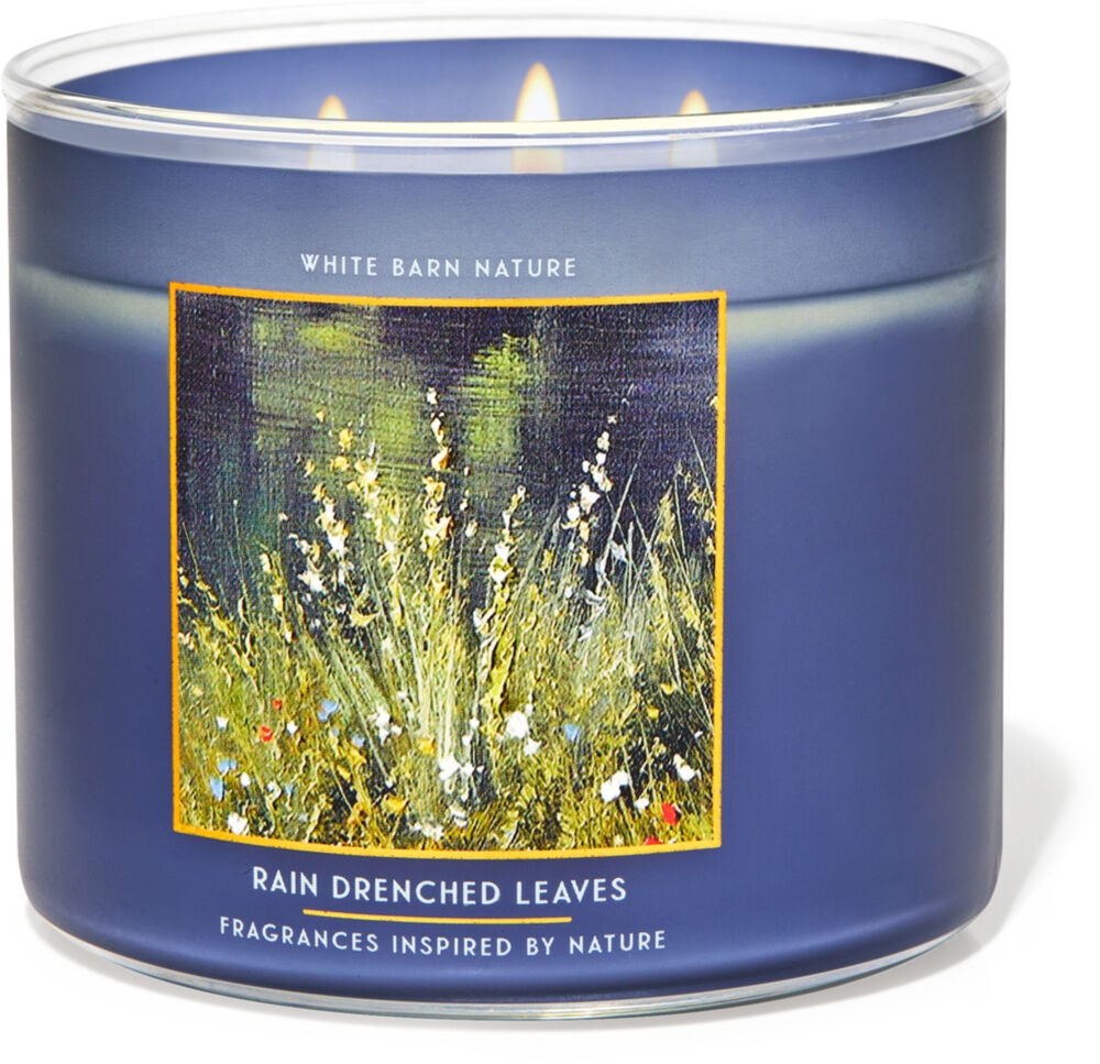 3-Wick Scented Candles - Bath & Body Works