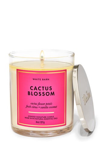 Cactus Blossom Single Wick Candle - White Barn | Bath & Body Works