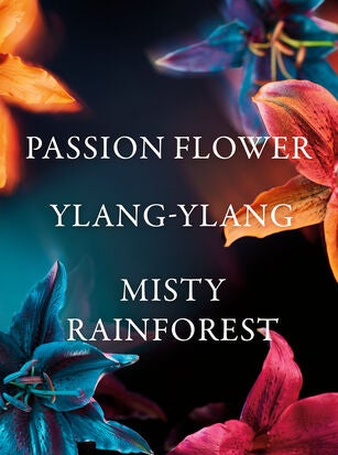 Seasonal Fragrance | Bath & Body Works